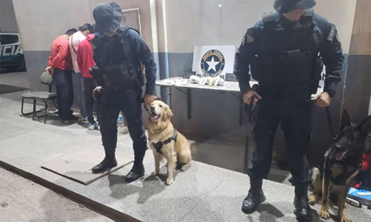 Com Ajuda De Cães Farejadores Receita E Pm Apreendem Pasta Base Na